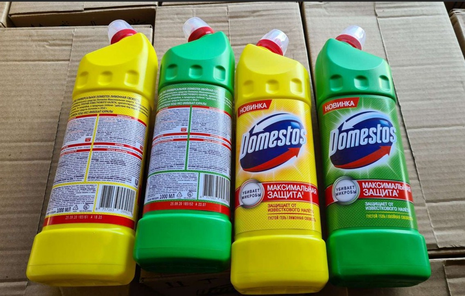 Domestos разработает свой антивирус